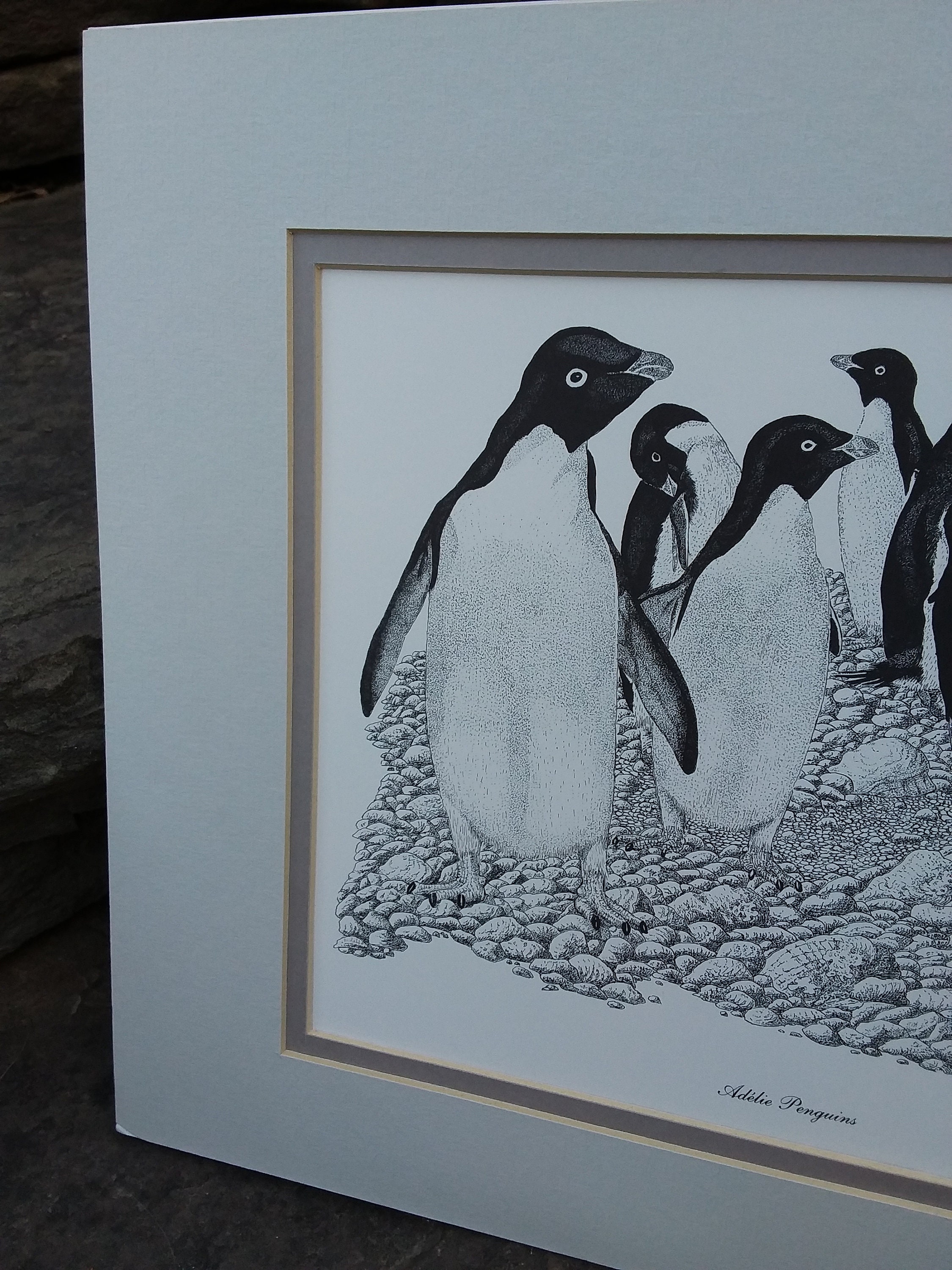 Vintage Pen & Ink Penguin Lithograph Art Print Adelie Penguins | Etsy