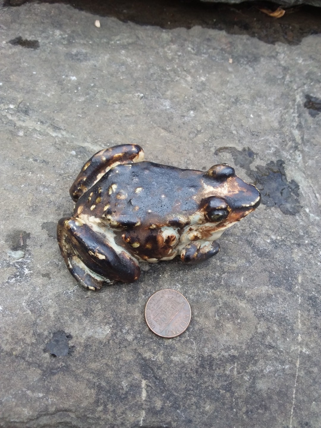 Vintage Scandinavian Art Pottery Frog by Arne J. Ingram, Denmark - Etsy