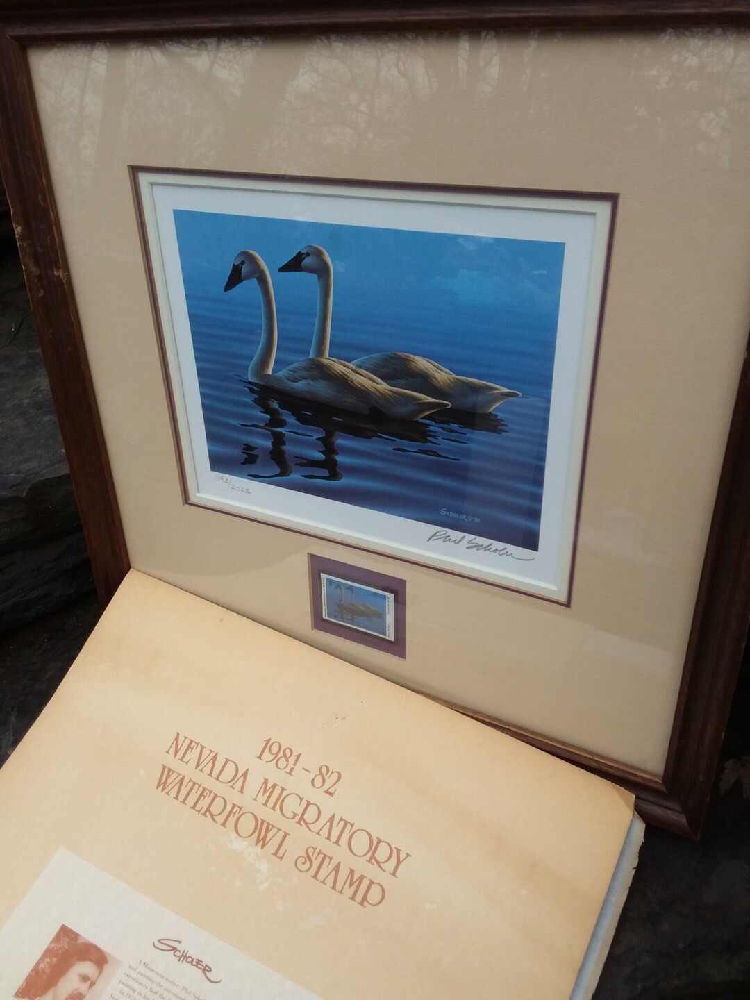 Vintage Phil Scholer Nevada Waterfowl Stamp Whistling Swans Signed Art ...