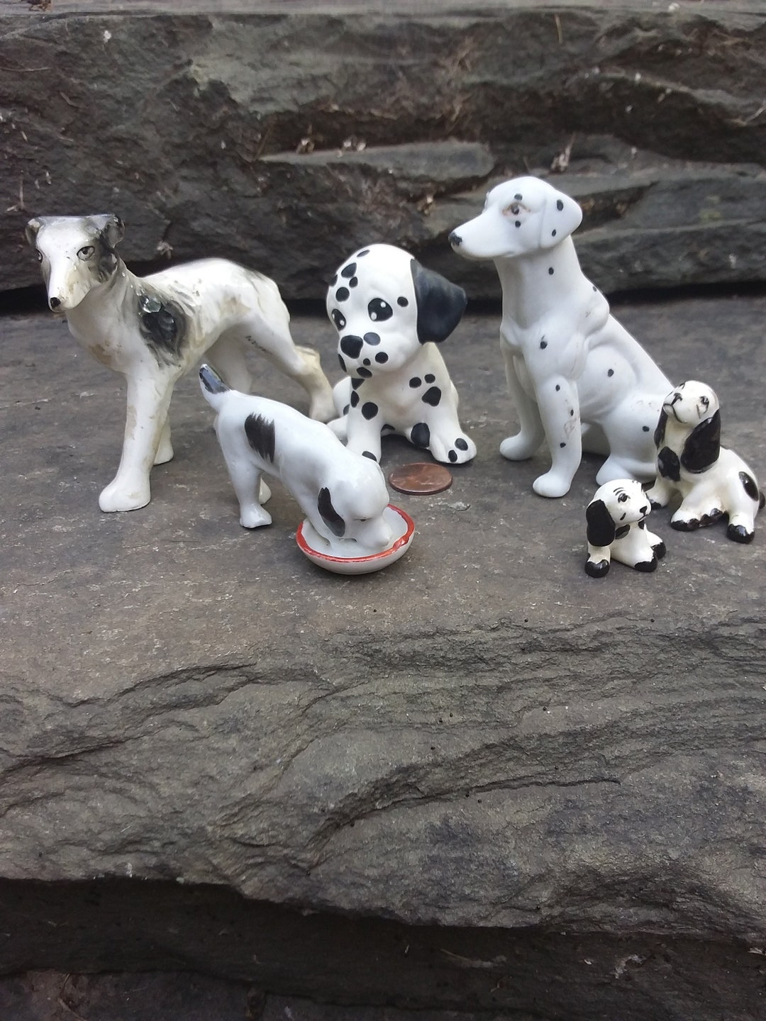 Vintage Springer Spaniel Dalmatian Cocker Spaniel and Afghan - Etsy