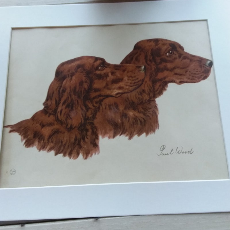 Irish Setter Art - Etsy