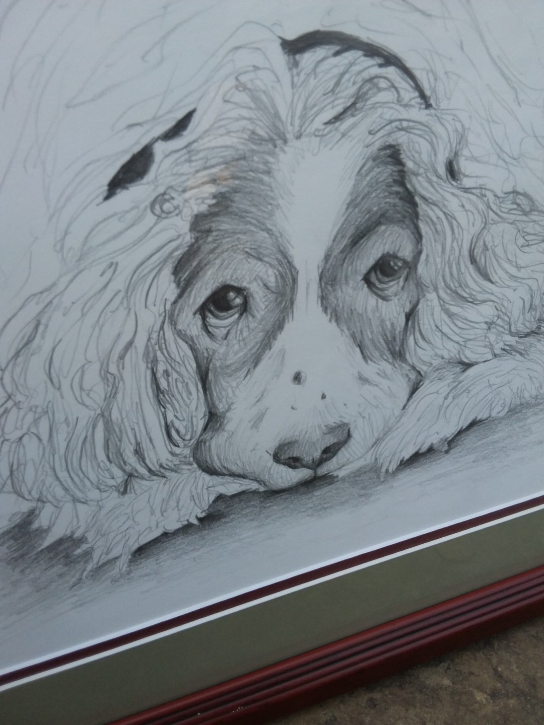 Vintage Original Pencil Drawing of Brittany Spaniel, Signed, Double Mat ...