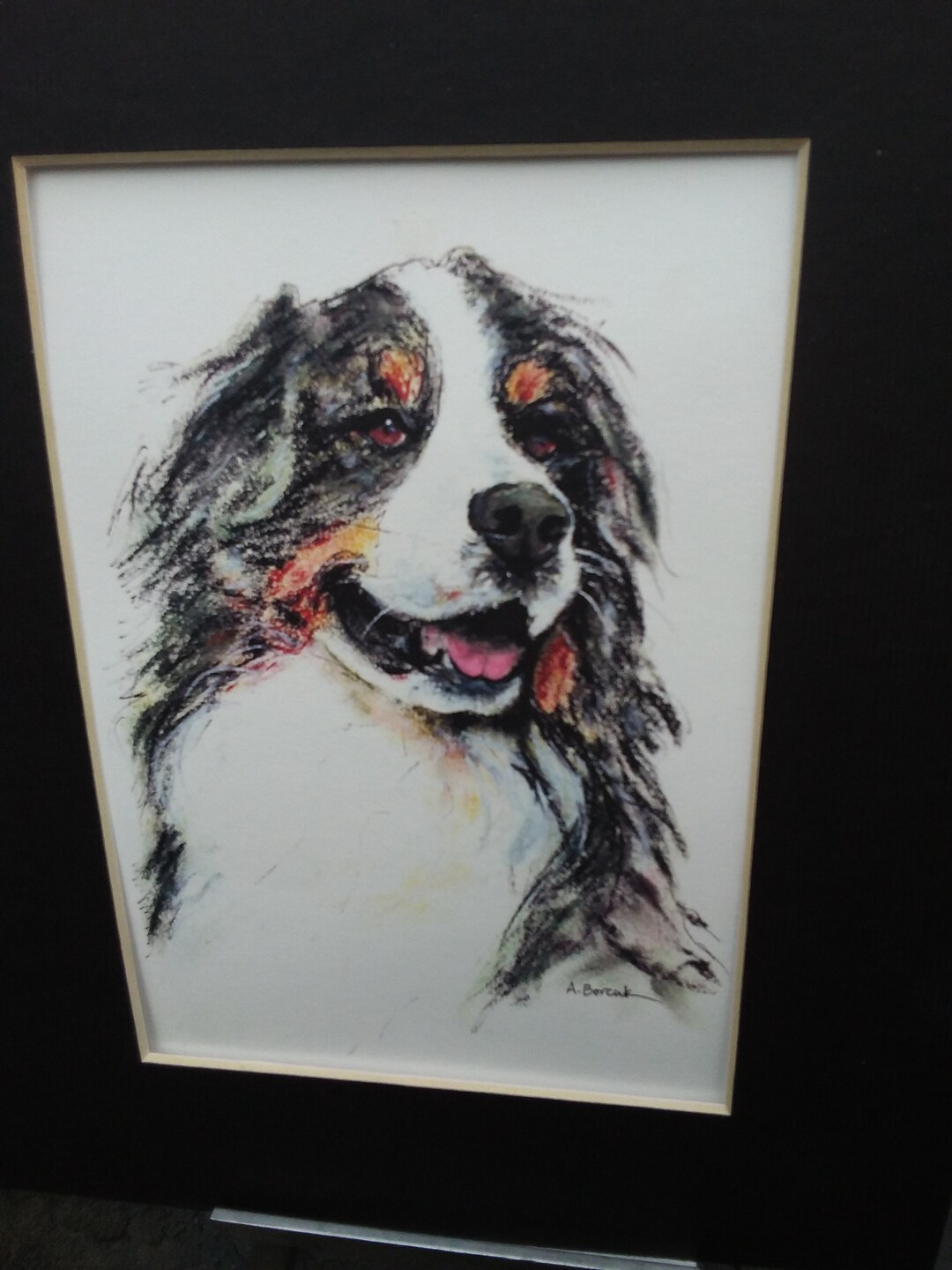 Vintage Bernese Mountain Dog Art Print, Signed by A. Borcuk, Matted 8 X ...