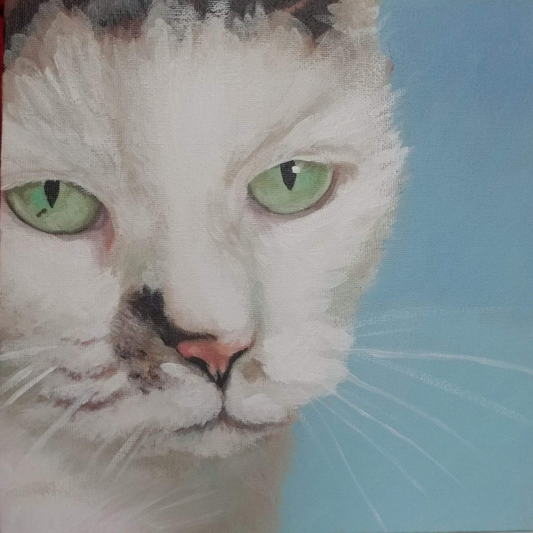 Custom Cat Portrait Acrylic Painting With Solid Color Background - Etsy