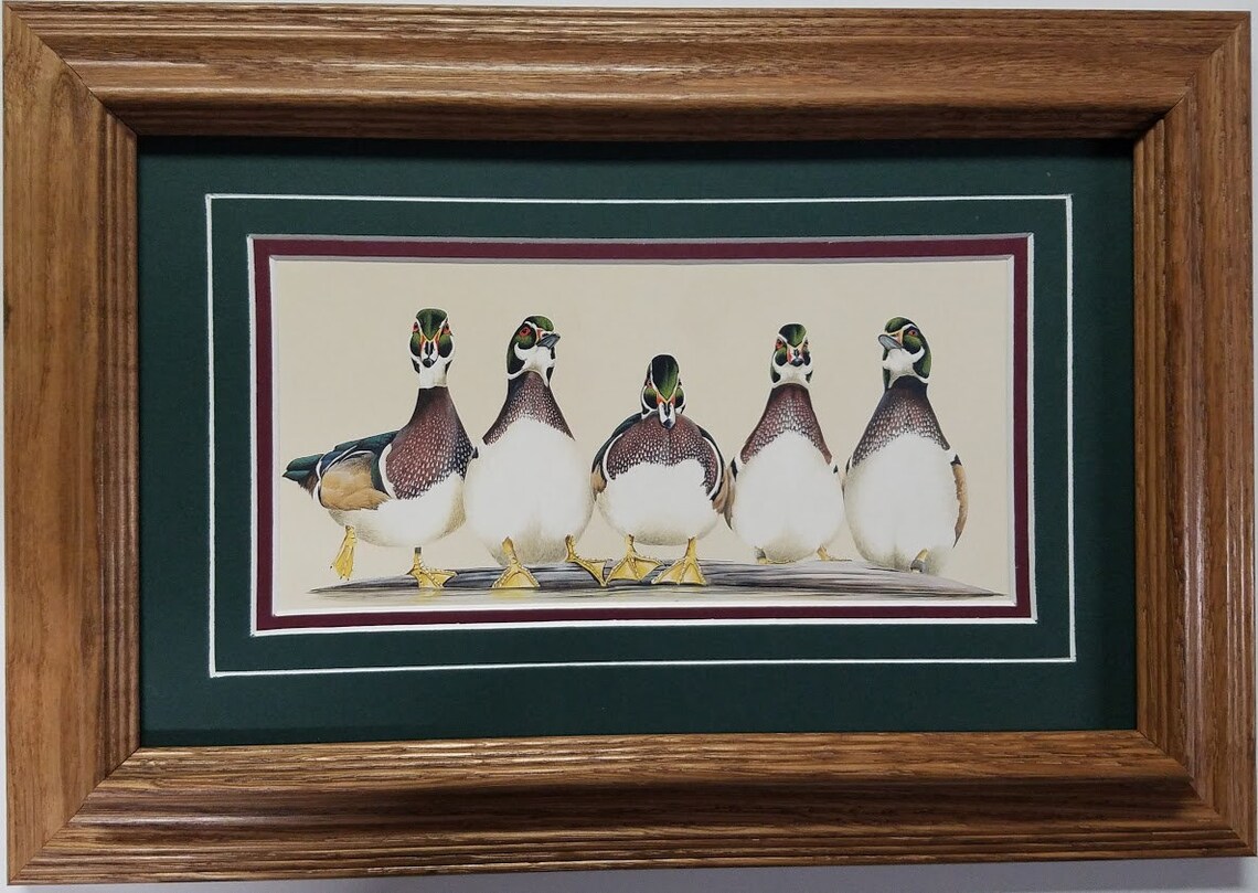 Framed in Solid Oak Wildlife Wood Ducks Duck Art Print by Carl Melichar ...