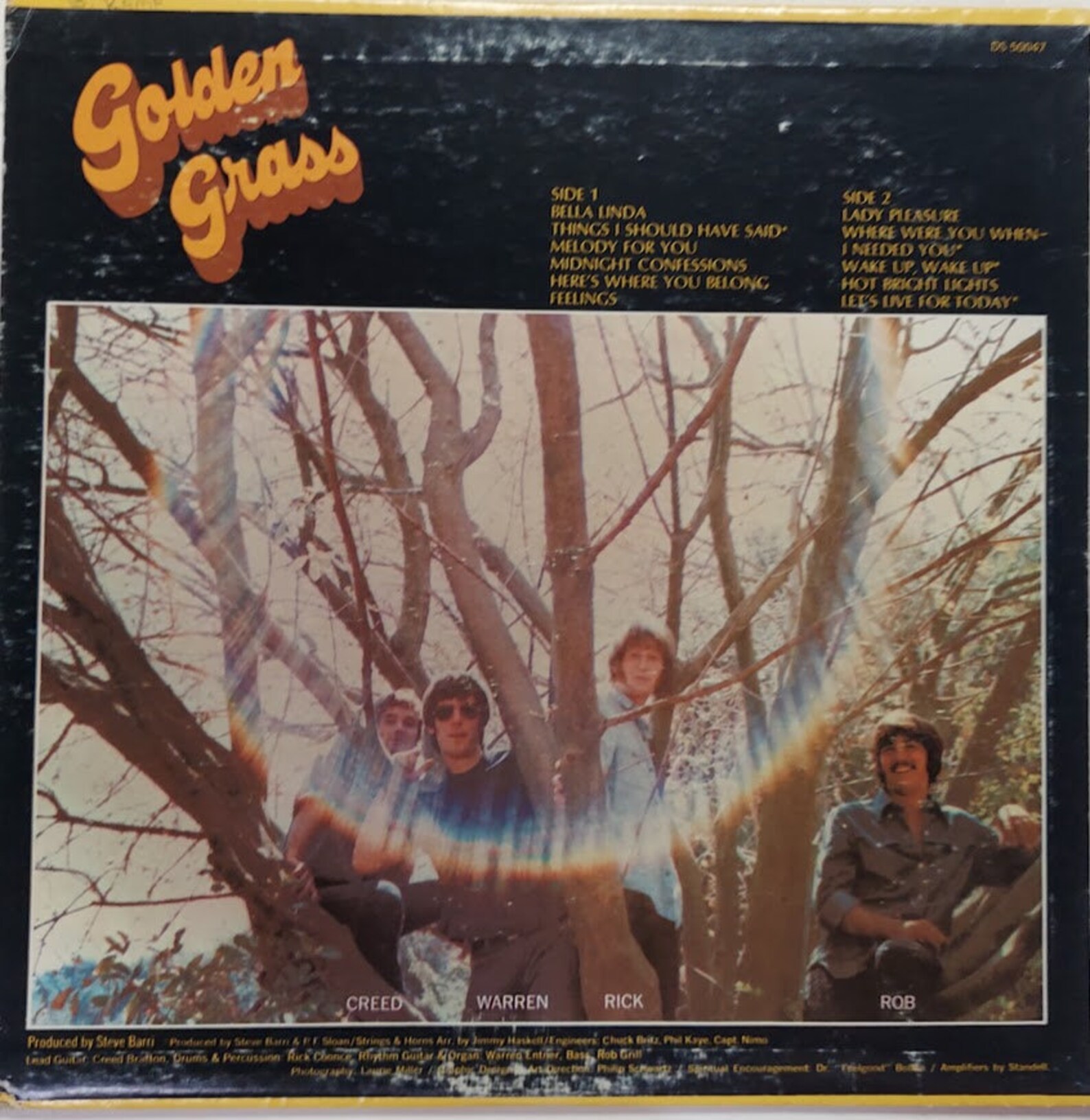 Vintage 1968 Vinyl Record Album by the Grassroots Titled Golden Grass ...