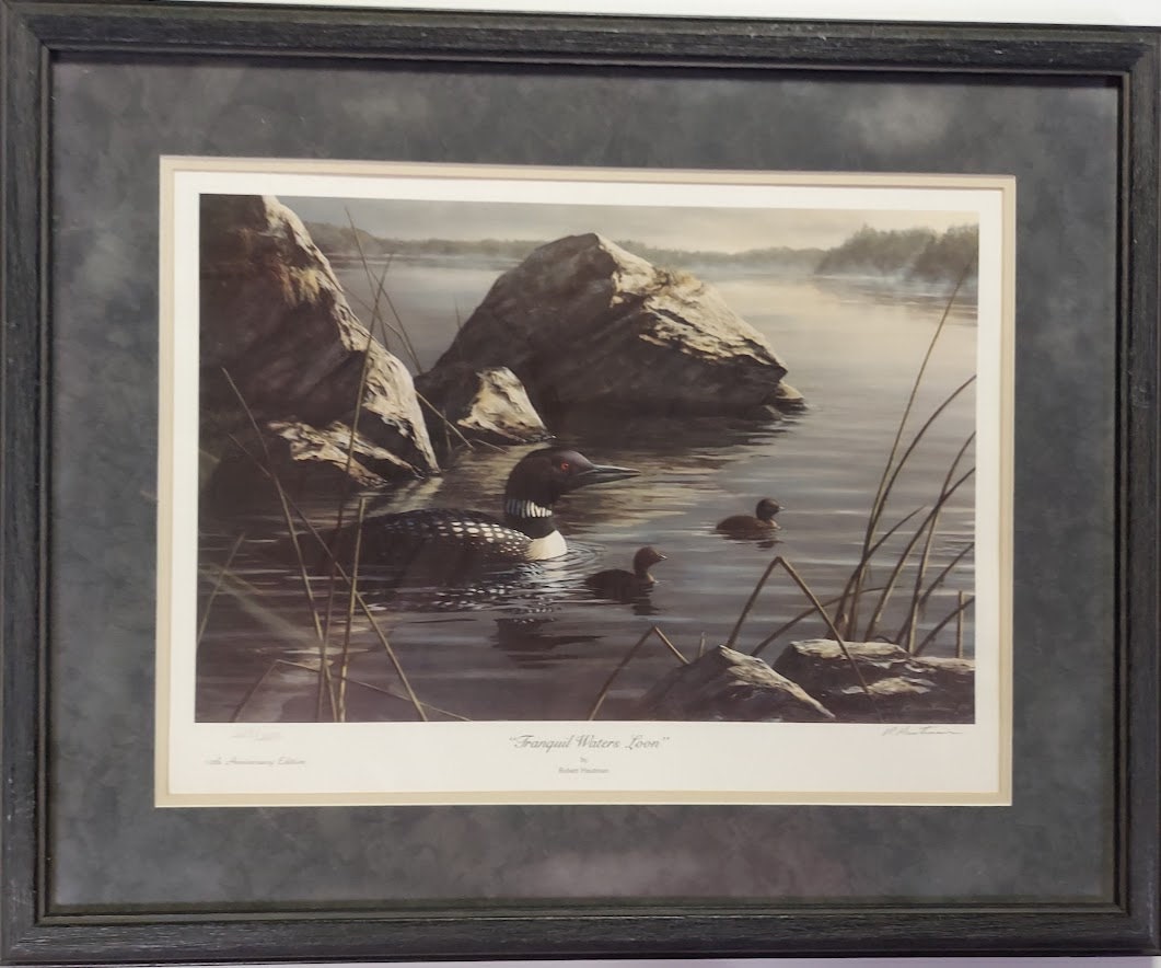 Framed Loon Art Print 22 X28 by Robert Hautman Titled Tranquil Waters ...