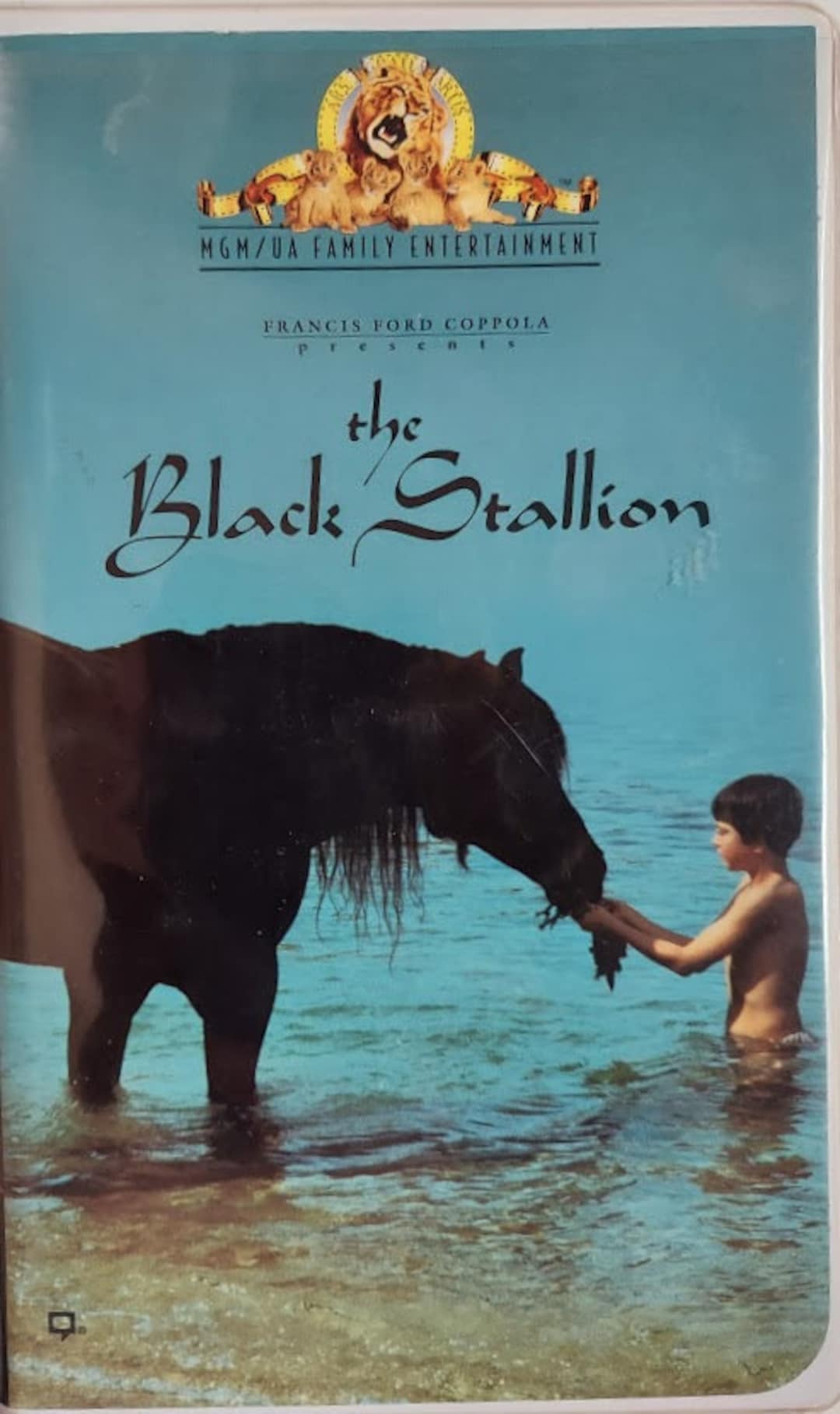 VHS 1979 Vintage Movie Titled the Black Stallion Starring Kelly Reno ...