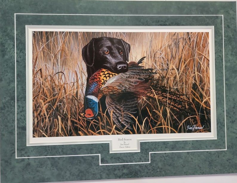 Matted Art Print Black Lab Hunting Pheasant by Jim Hansel Titled Bird ...
