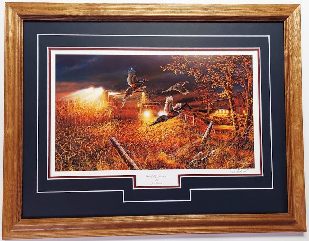Framed in Oak & Matted 21 X 27 Art Print Wildlife Pheasant by Jim ...
