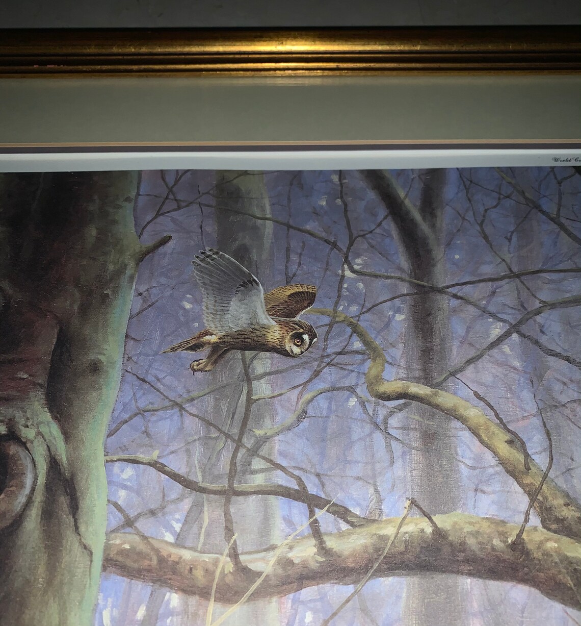 Julian Friers 1986 Signed Limited Edition Lithograph/print Long Eared ...