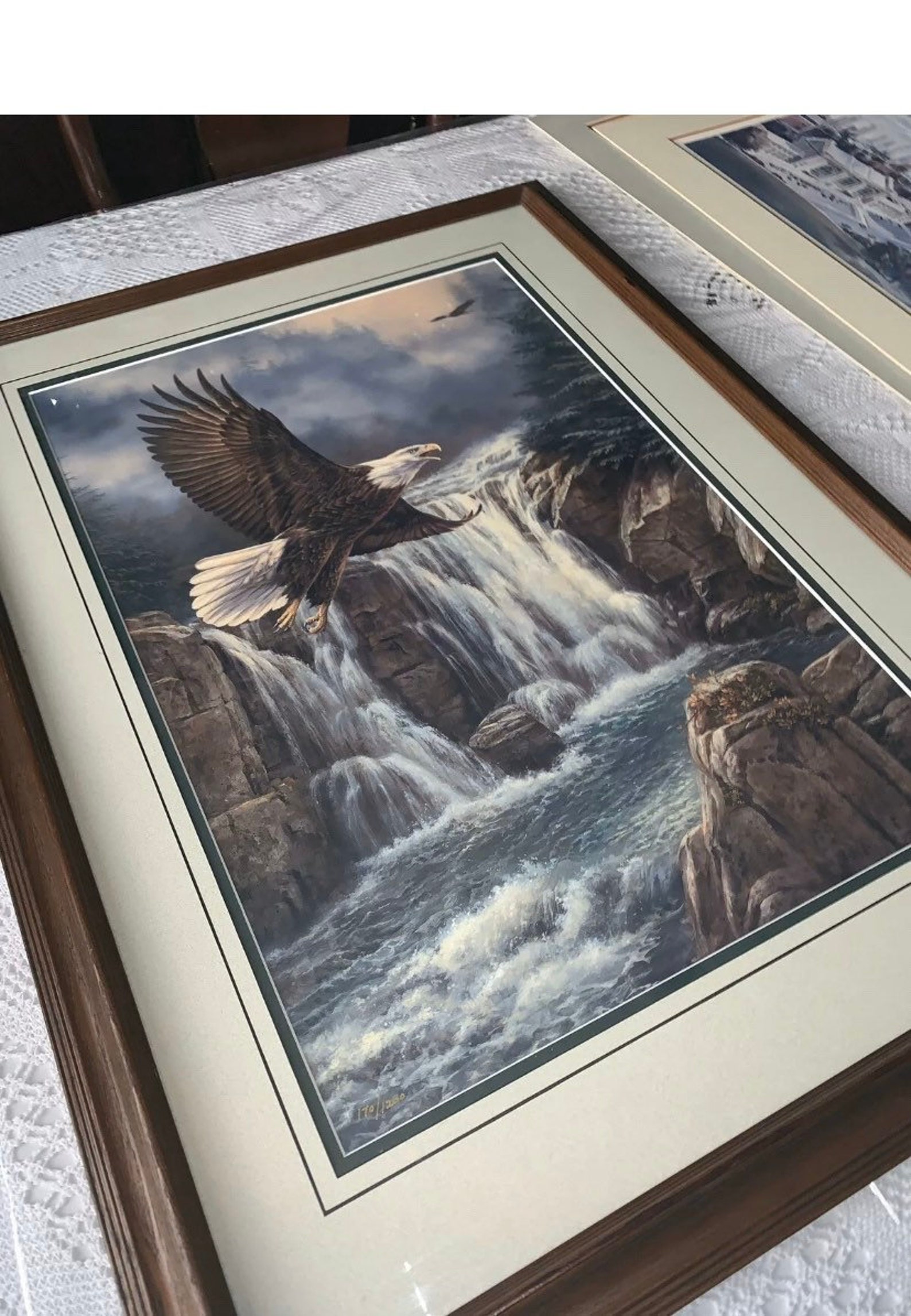 Rosemary Millette Signed Majestic Flight Bald Eagle | Etsy