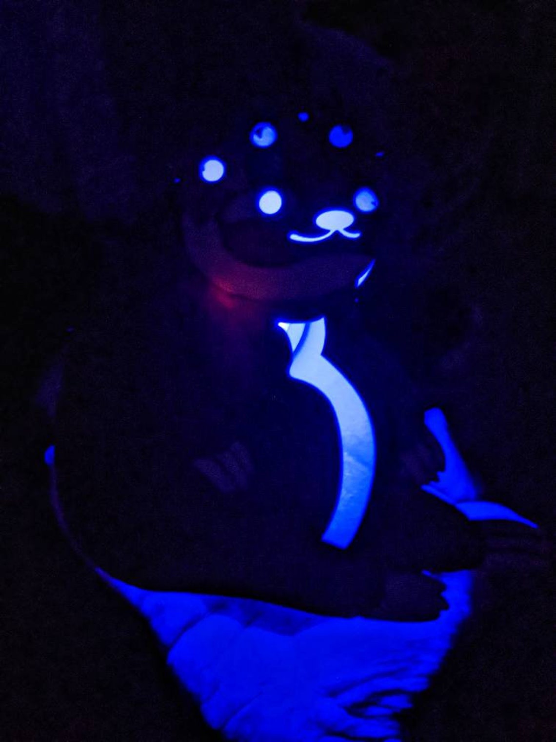 Light up sloth/sloth/nightlights/sloth | Etsy