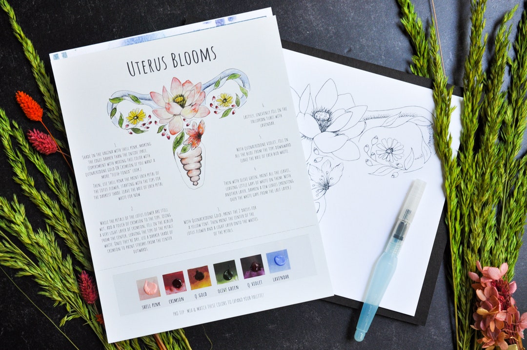 DIY KIT Watercolor Uterus Floral Anatomy Art Paint Kit for Adults - Etsy