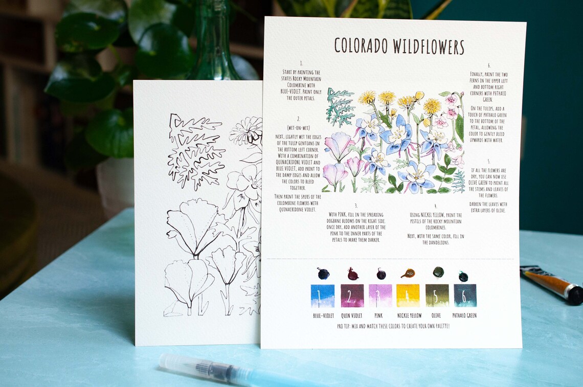 DIY KIT Watercolor Colorado Wildflowers Paint Kit for | Etsy