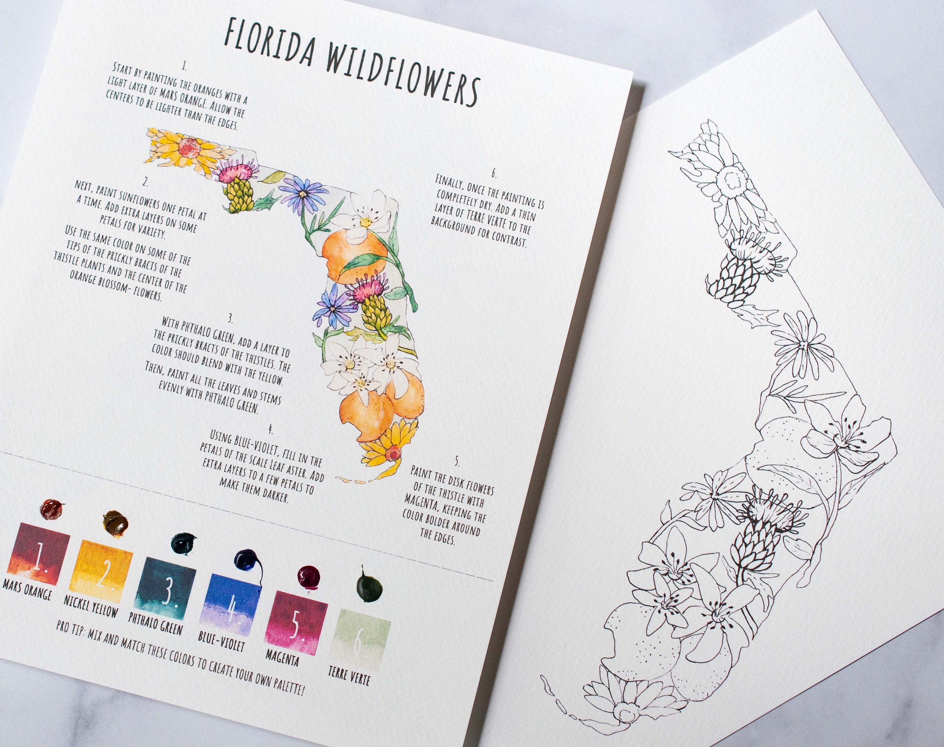 DIY KIT Watercolor Florida Wildflowers Adult Painting Guide | Etsy