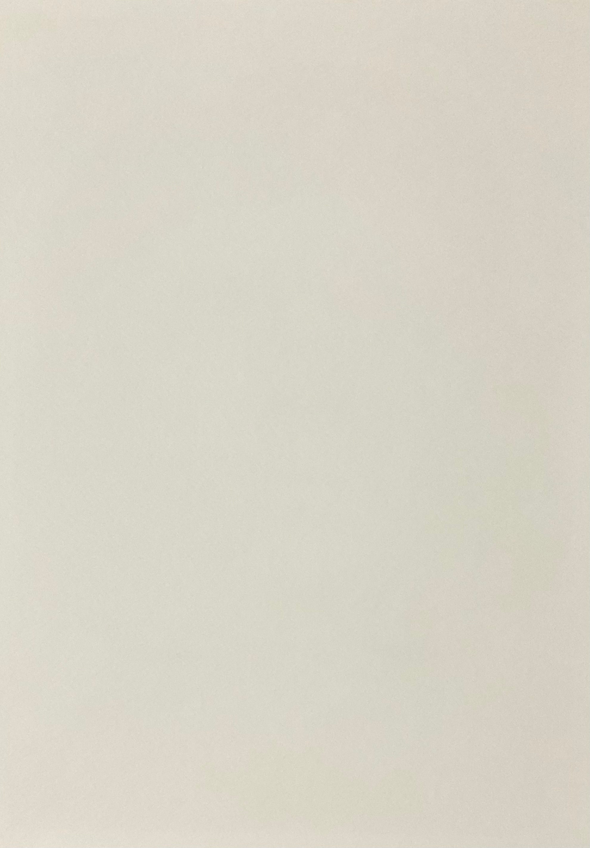 Che Guevara - offset lithograph 34x24 cm - limited edition sold by ...