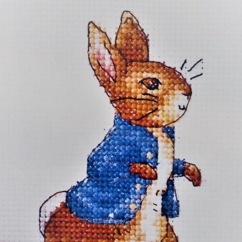 Peter Rabbit Counted Cross Stitch Pattern - Etsy