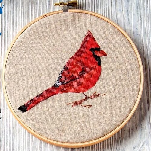 Cross Stitch Pattern Red Cardinal Pdf Counted Crossstich - Etsy