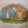 Peter Rabbit Counted Cross Stitch Pattern Pdf - Etsy