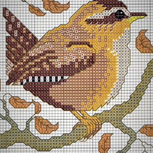Counted Cross Stitch Wren Pattern PDF - Etsy