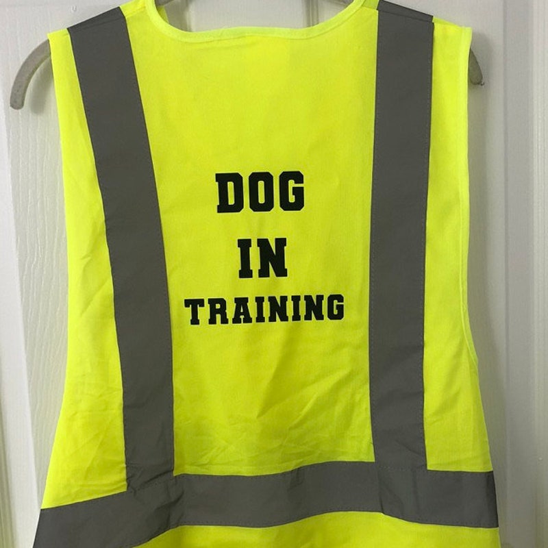 Do Not Pet Vest - Etsy