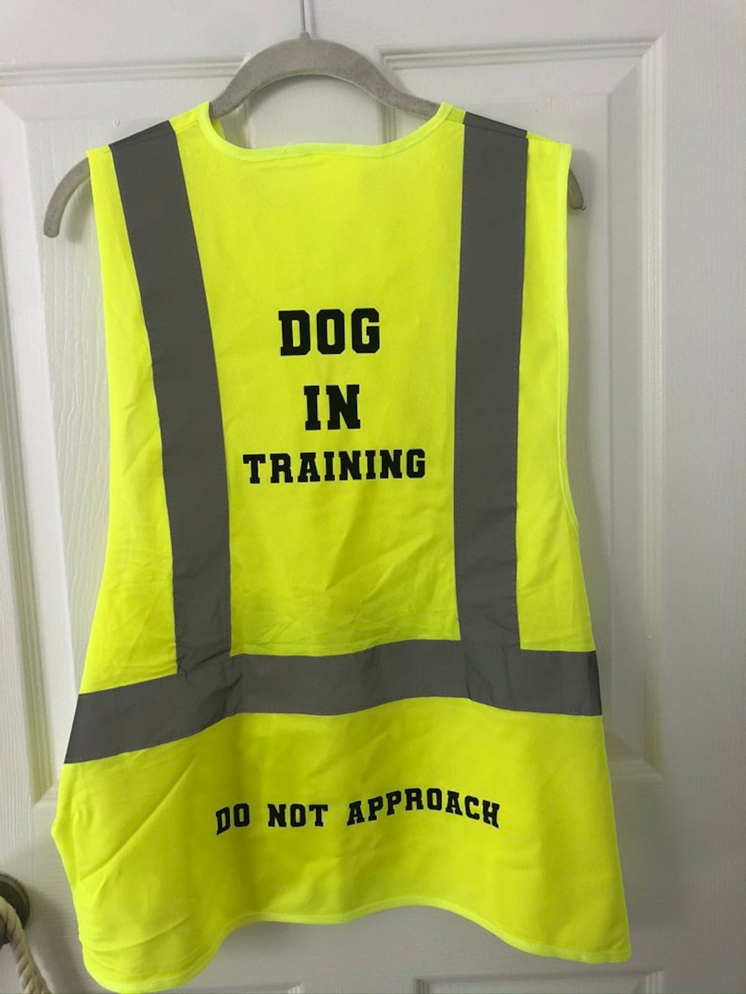 Dog in Training Vest for People / Dog Walking Trainer Behavior / Do Not ...