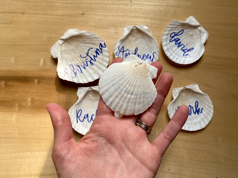 NAVY Seashells / Wedding Personalized Shells Table Name Plates Place ...