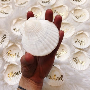 Shells With Table Number / Wedding Personalized Table Name Plates Place ...