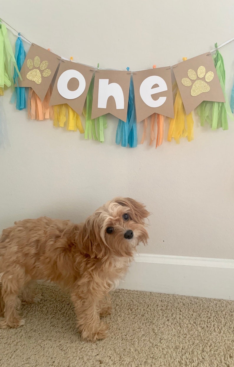 Custom Dog Birthday Banner-puppy Birthday Banner-dog Age - Etsy