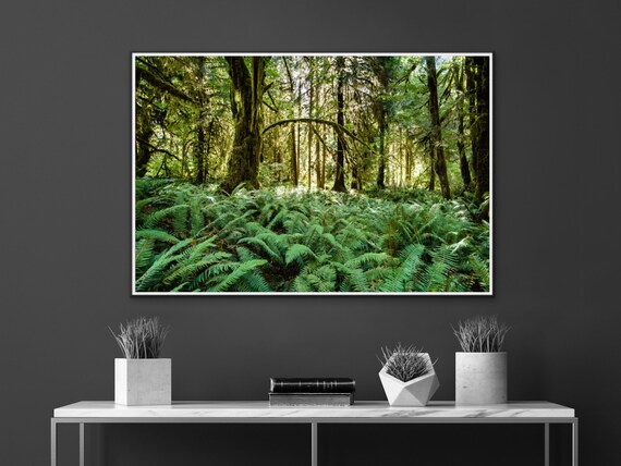 Photography Art & Collectibles Landscape Photography Fine Art Print The ...