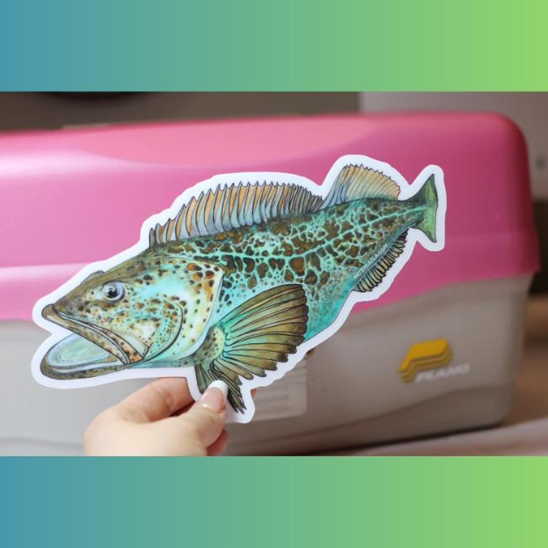 Lingcod Glitter Sticker: Waterproof Decal - Etsy