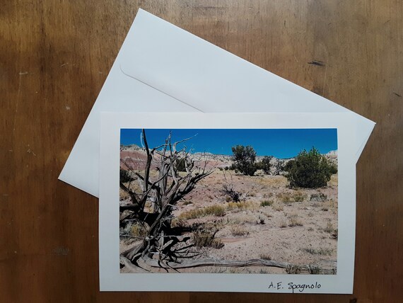 New Mexico Southwest Juniper Tree Photo Card | Etsy