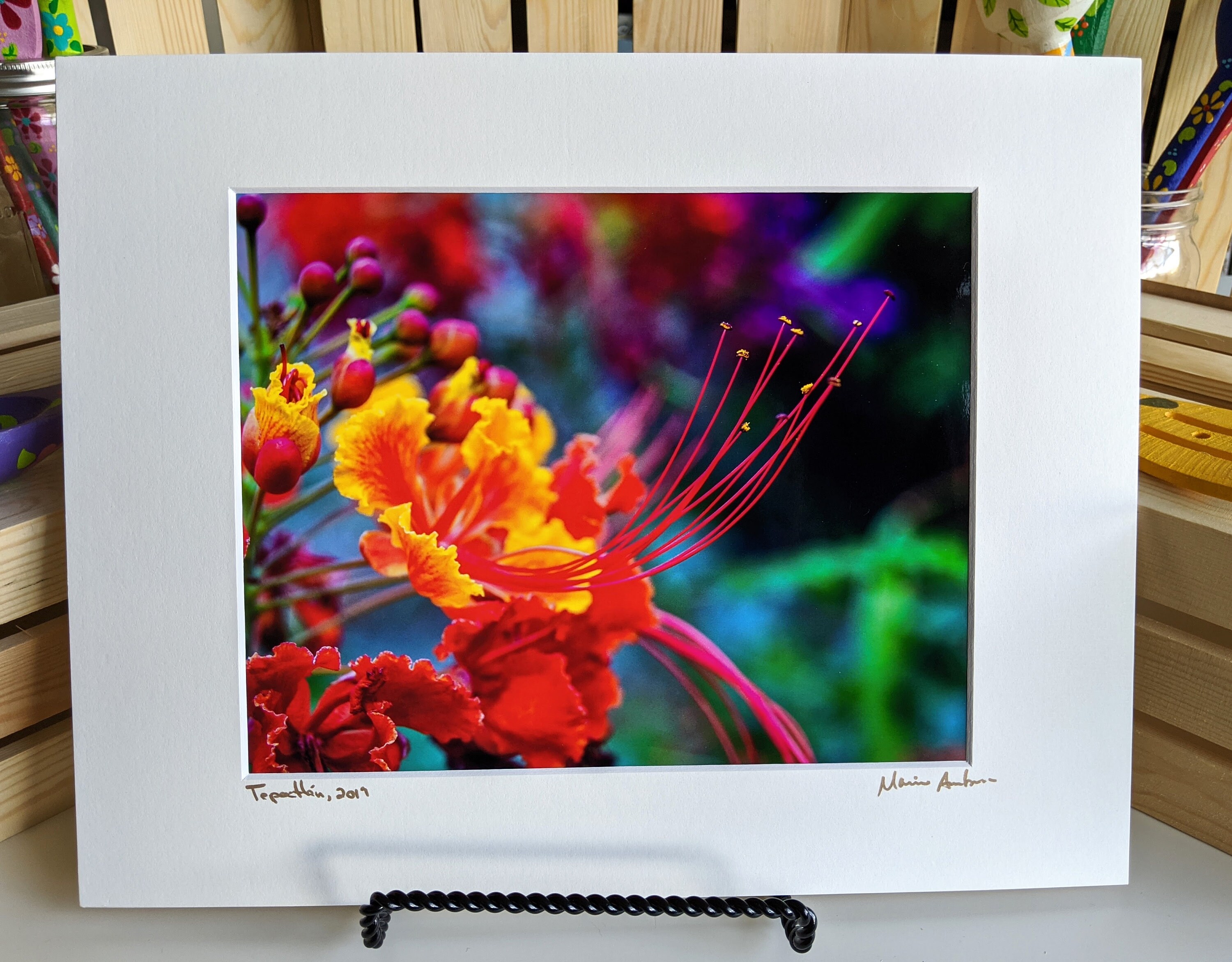 Tabachin flower — Matted Photograph — Wall Art - Etsy España