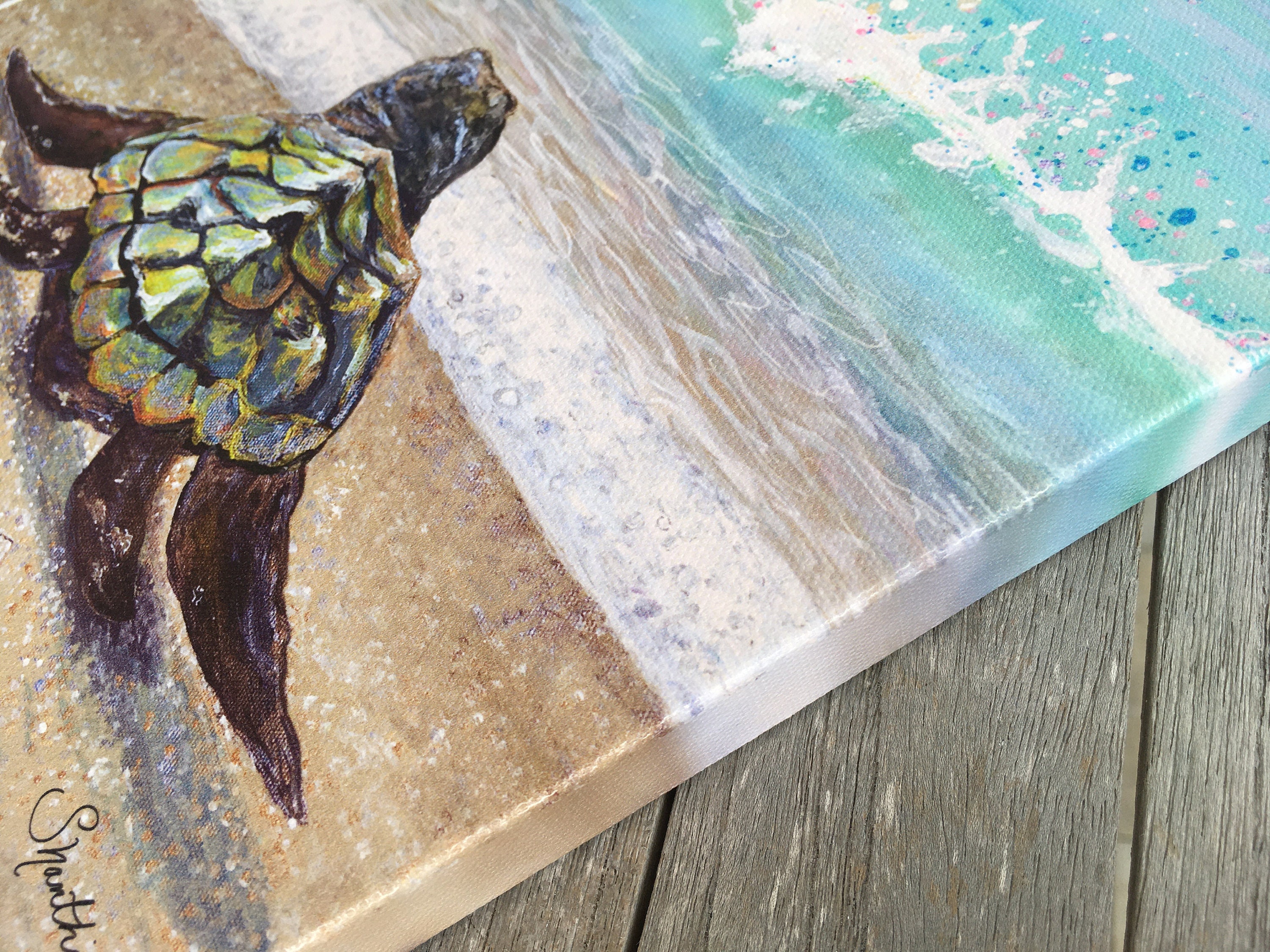 Baby Sea Turtle Wall Art Sea Turtle Art Prints Sea Turtle - Etsy