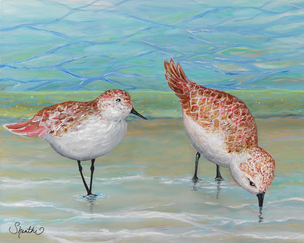 Birds Decor Sandpiper Art Sea Birds Prints Birds on Canvas | Etsy