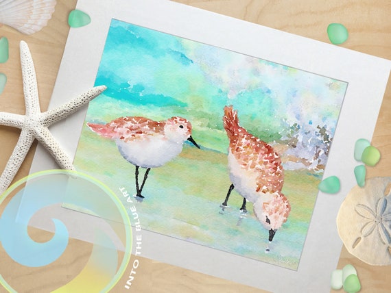 Birds Decor Sandpiper Art Sea Birds Prints Birds on Canvas - Etsy