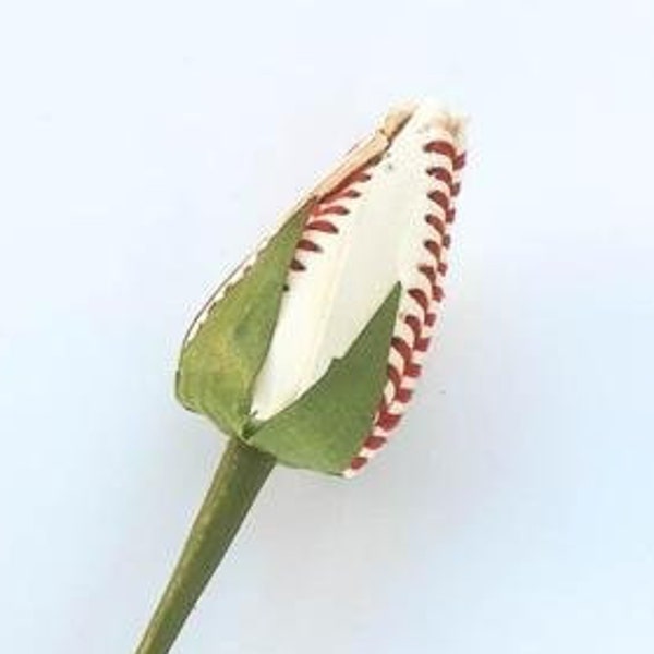 Baseball Rose - Etsy