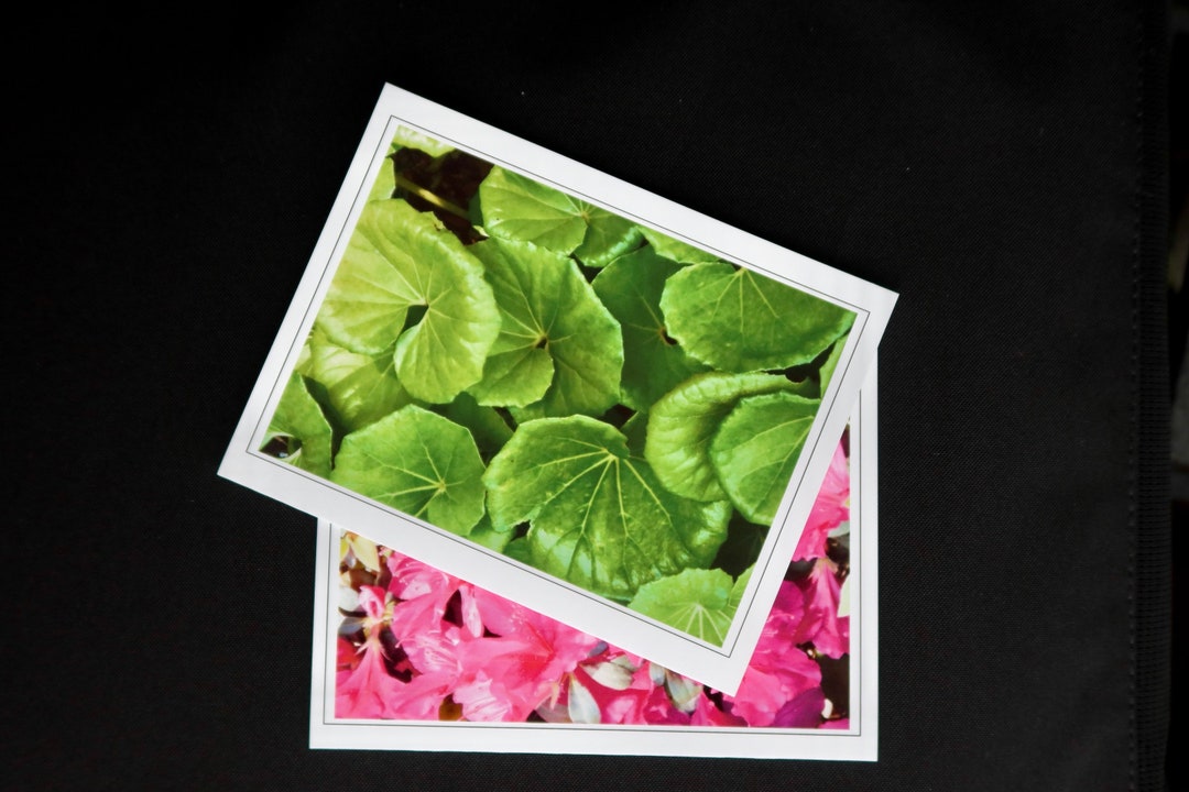 Six back to Nature Note Cards. Green Leaves and Pink Flowers. Blank ...