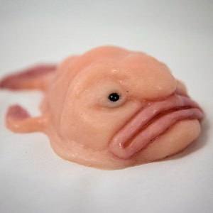 Platinum Silicone Blobfish Prop Cool Desk Item Gift Handmade Realistic ...
