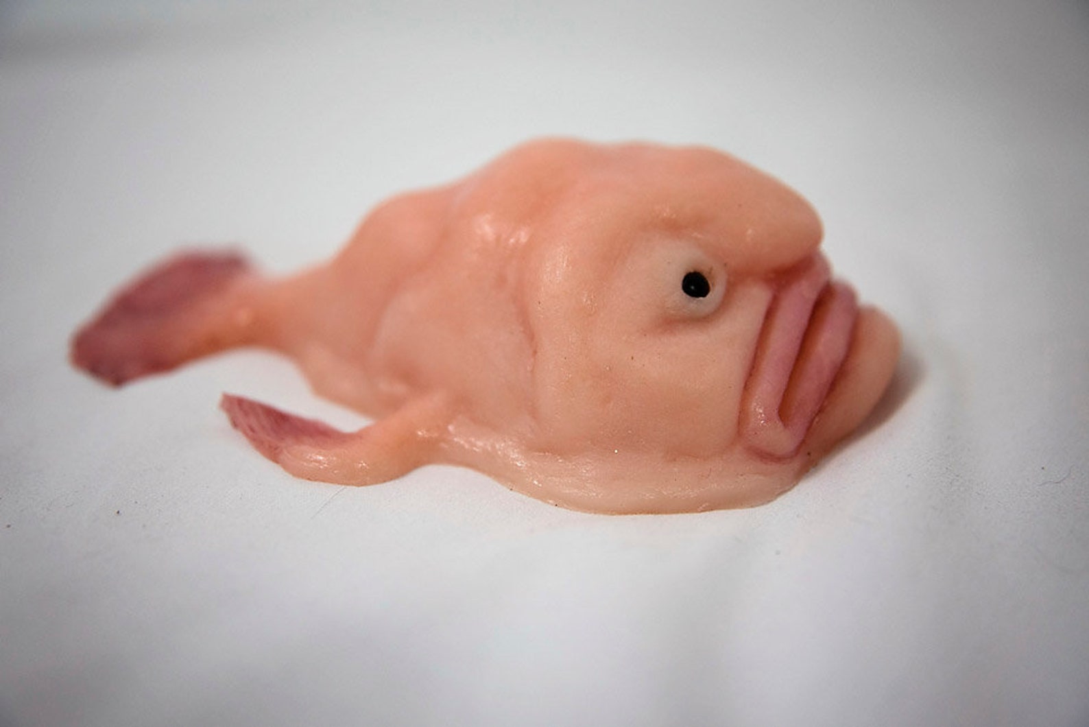 Platinum Silicone Blobfish Prop Cool Desk Item Gift Handmade Realistic ...