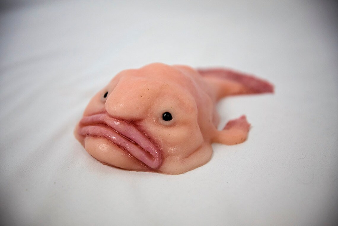 Platinum Silicone Blobfish Prop Cool Desk Item Gift Handmade Realistic ...