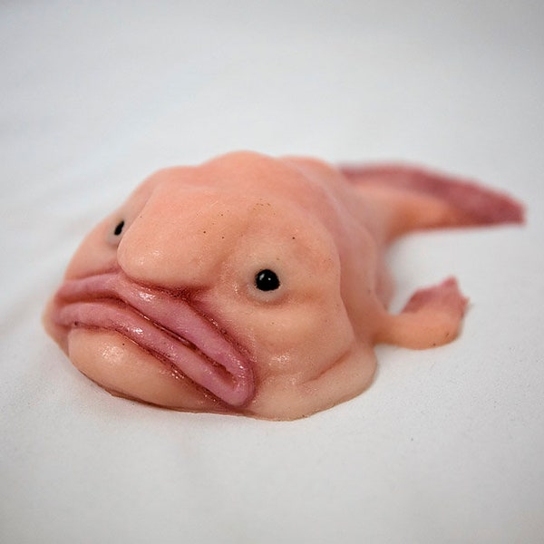 Blobfish - Etsy