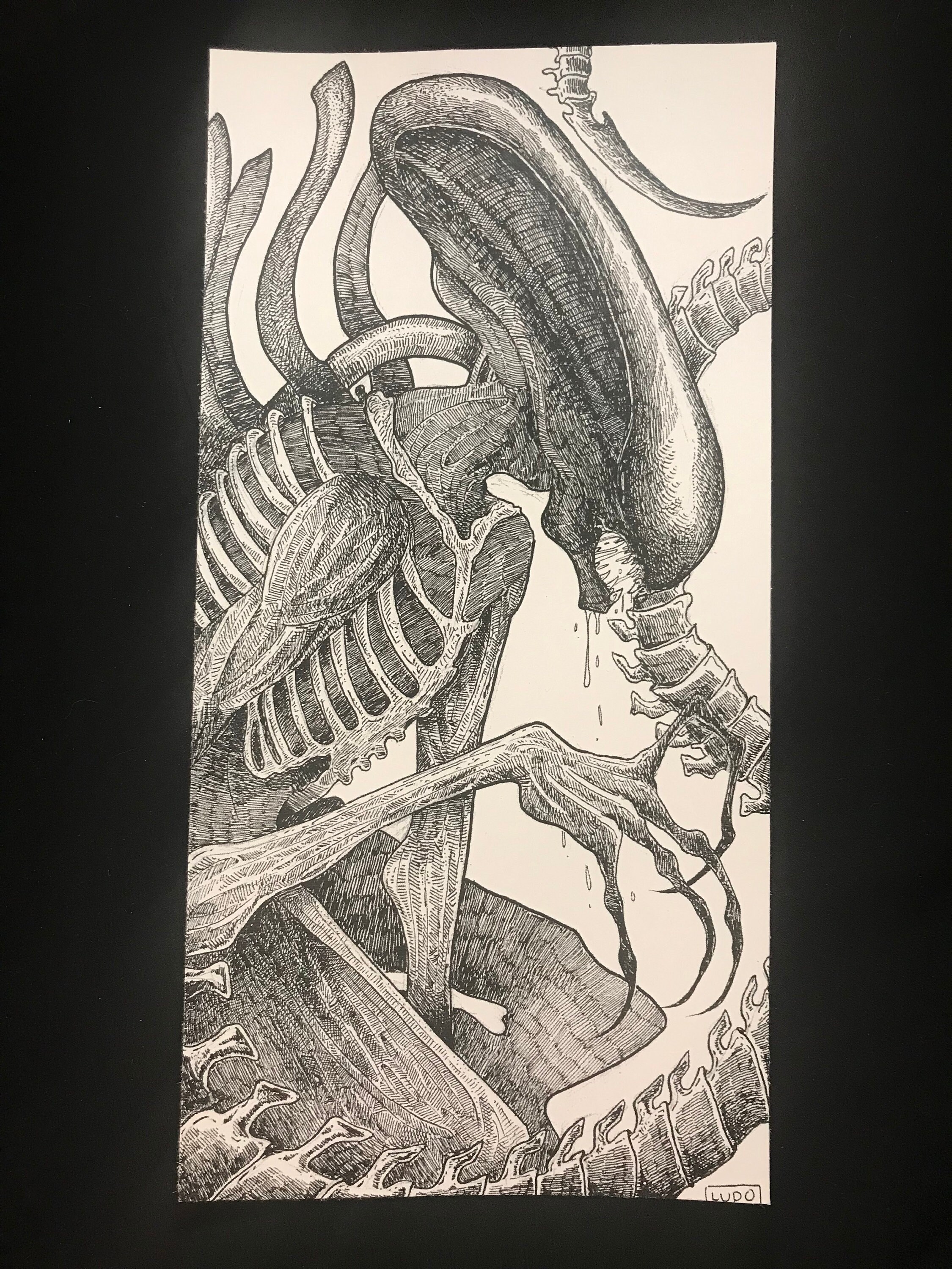 Alien Xenomorph Art Print - Etsy