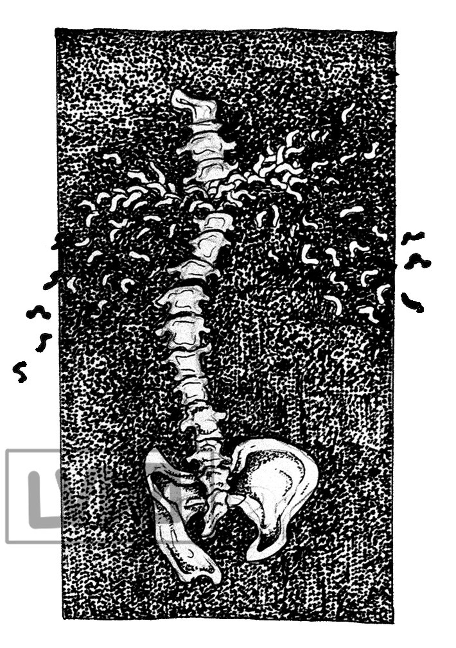 Spine Maggots Horror Art Sticker - Etsy