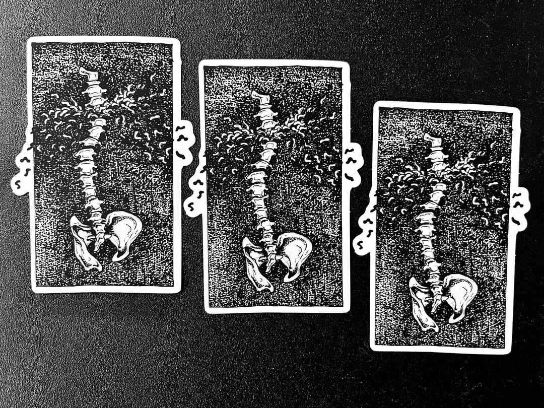 Spine Maggots Horror Art Sticker - Etsy