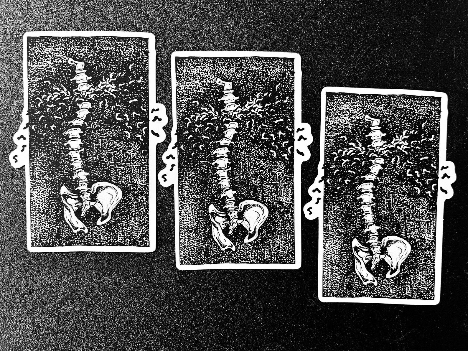 Spine Maggots Horror Art Sticker - Etsy