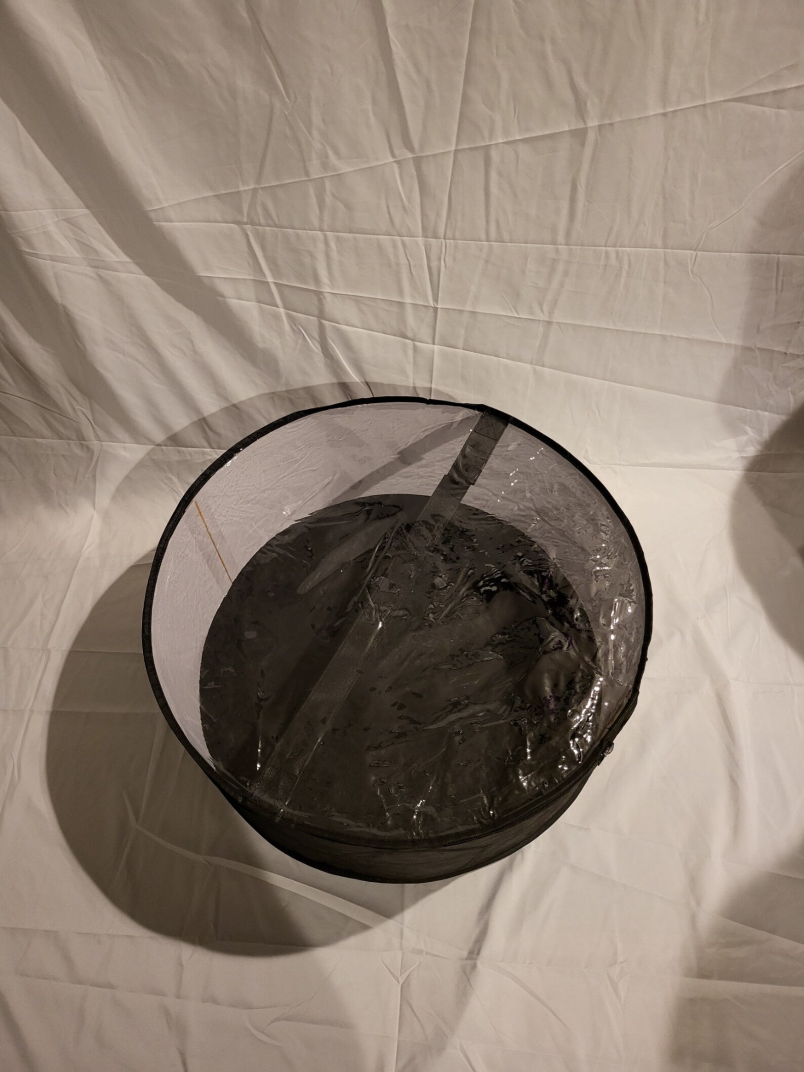 Extra Large Hat Box With Clear Top - Etsy