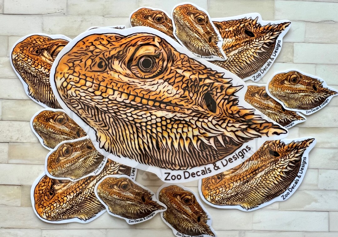 Bearded Dragon Stickers - Etsy