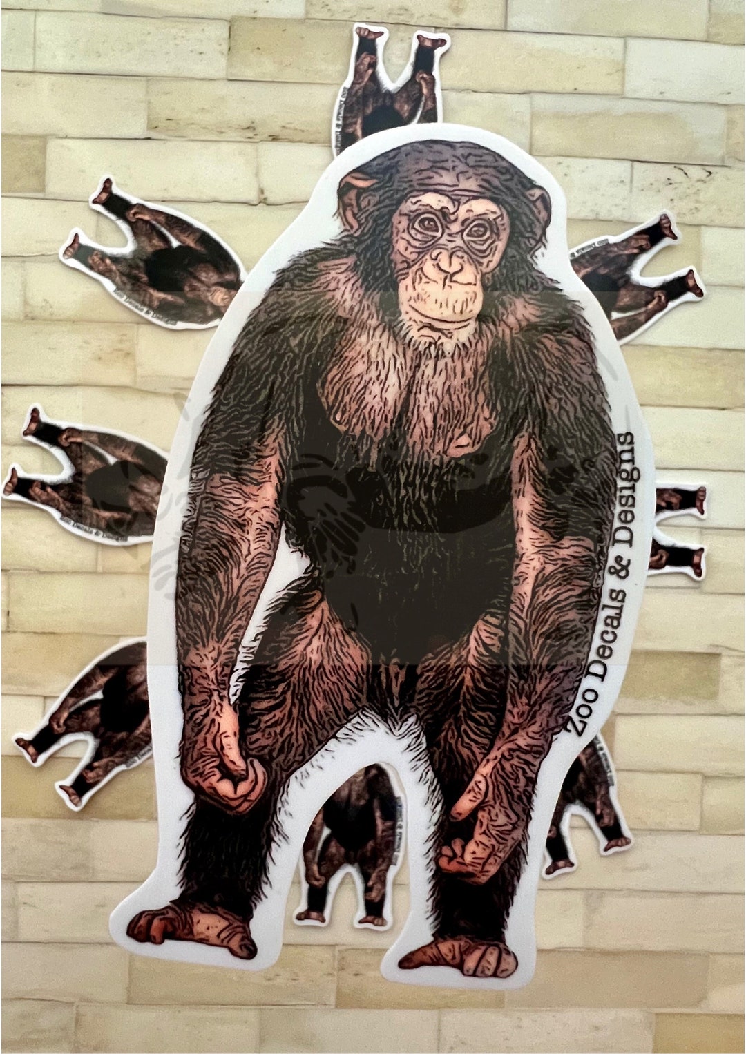 Chimpanzee - Stickers - Etsy